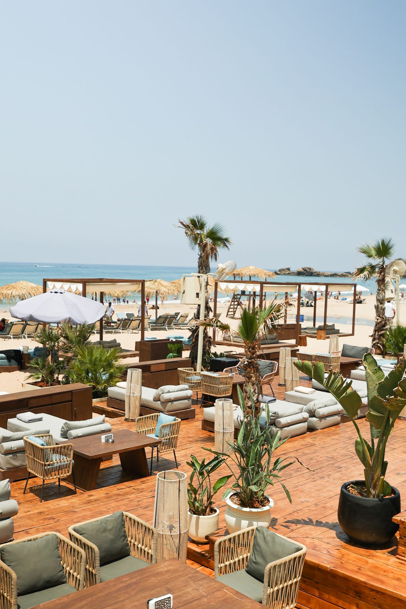 Home New - AlphaMind